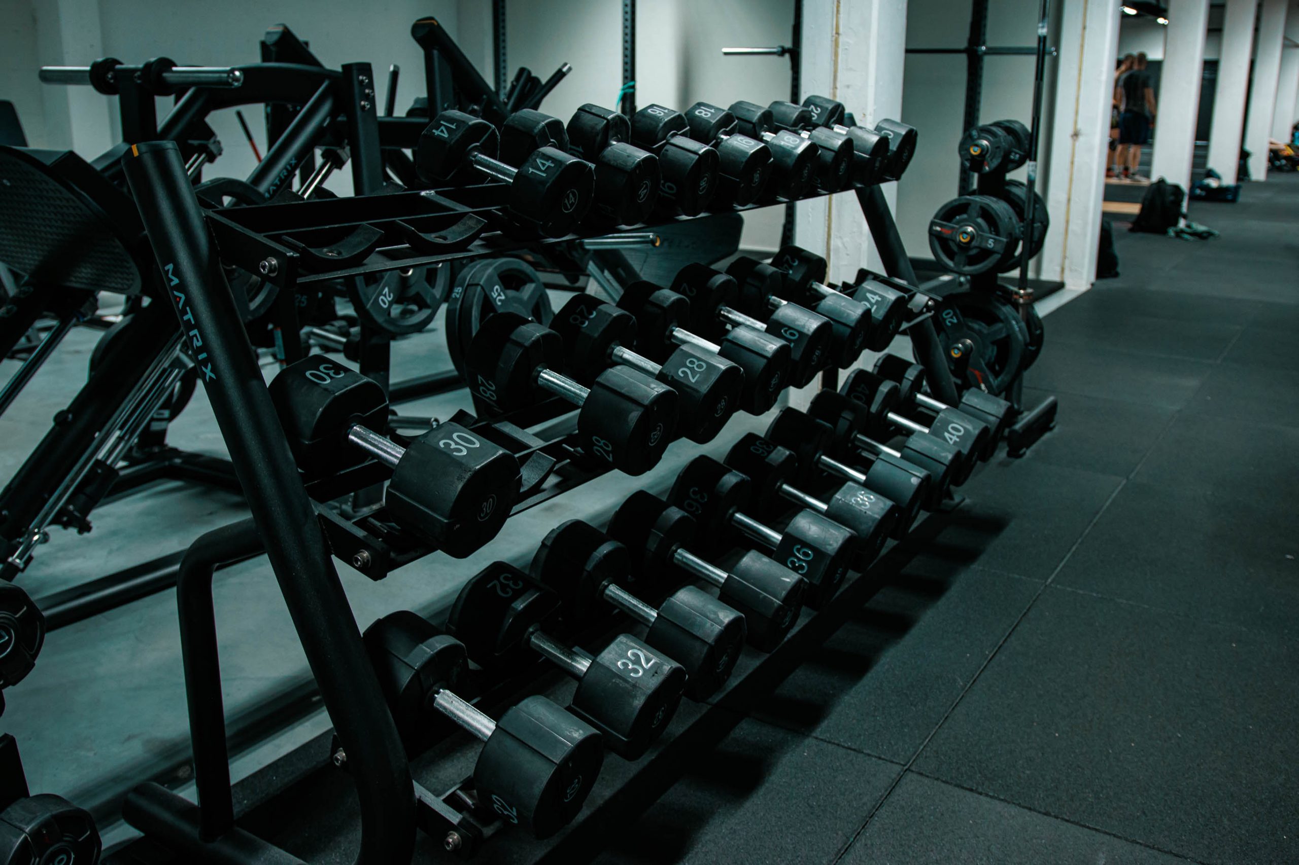 Rooster - Eindhoven Gym